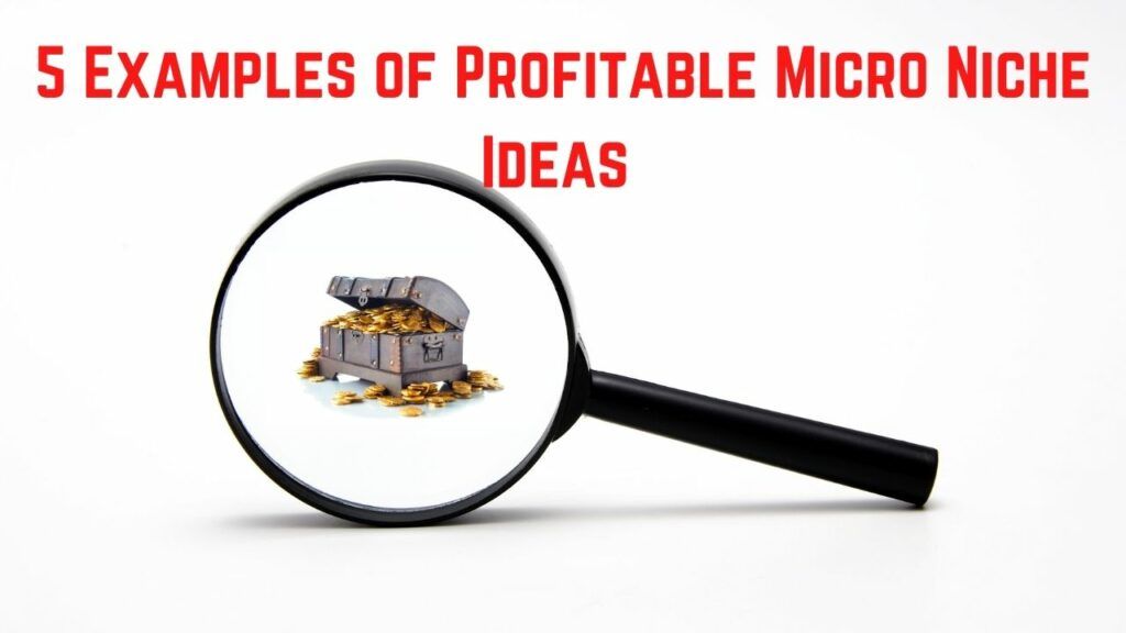 5 Examples of Profitable Micro Niche Ideas